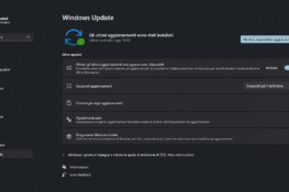 Windows 11 Hub ⋆ Angolo di Windows